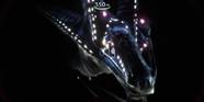 Subnautica Everything You Need To Know About The Gargantuan Leviathan Mod Subnautica Everything You Need To Know About The Gargantuan Leviathan Mod