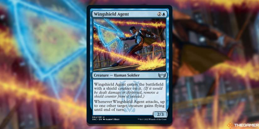 The Best Shield Counter Cards In MTG