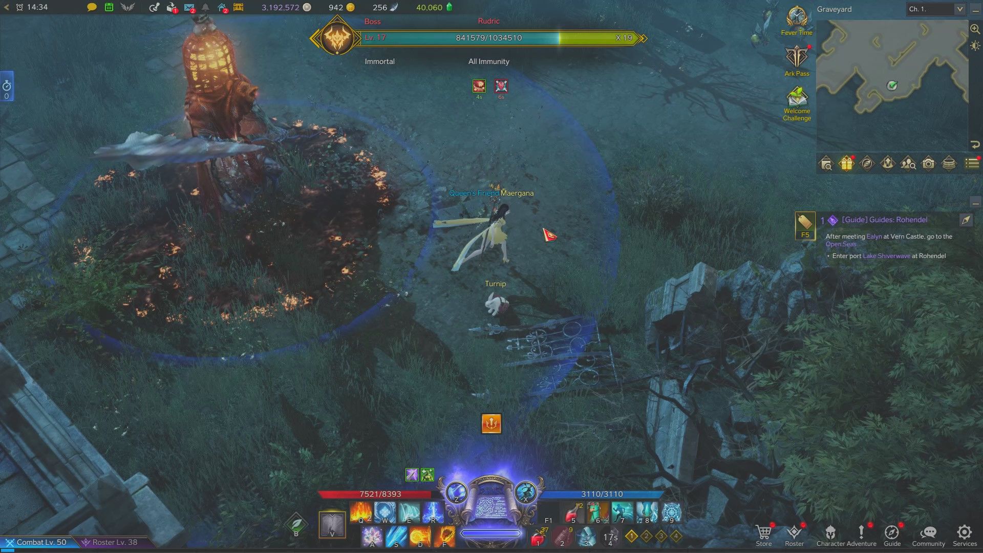World Boss Rudric Boss Walkthrough For Lost Ark