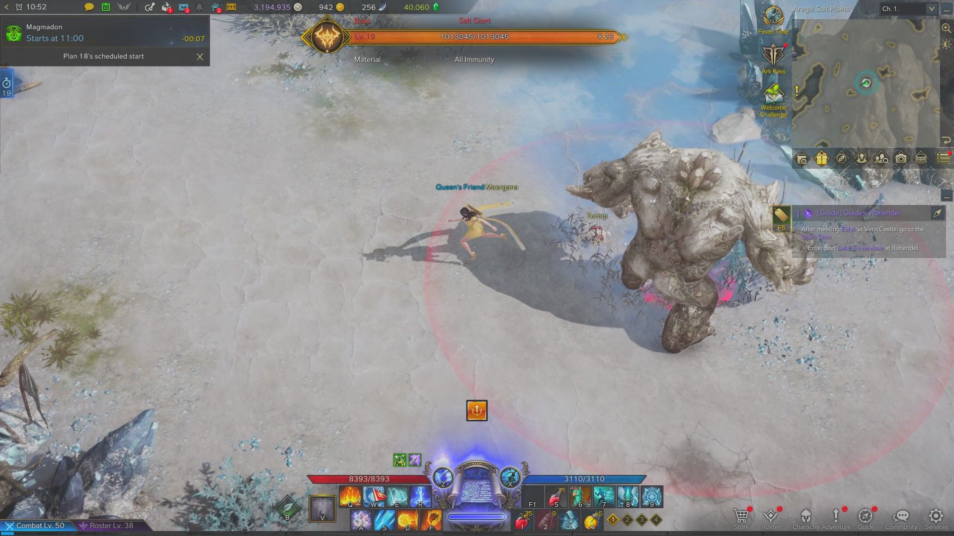 World Boss Salt Giant Walkthrough For Lost Ark