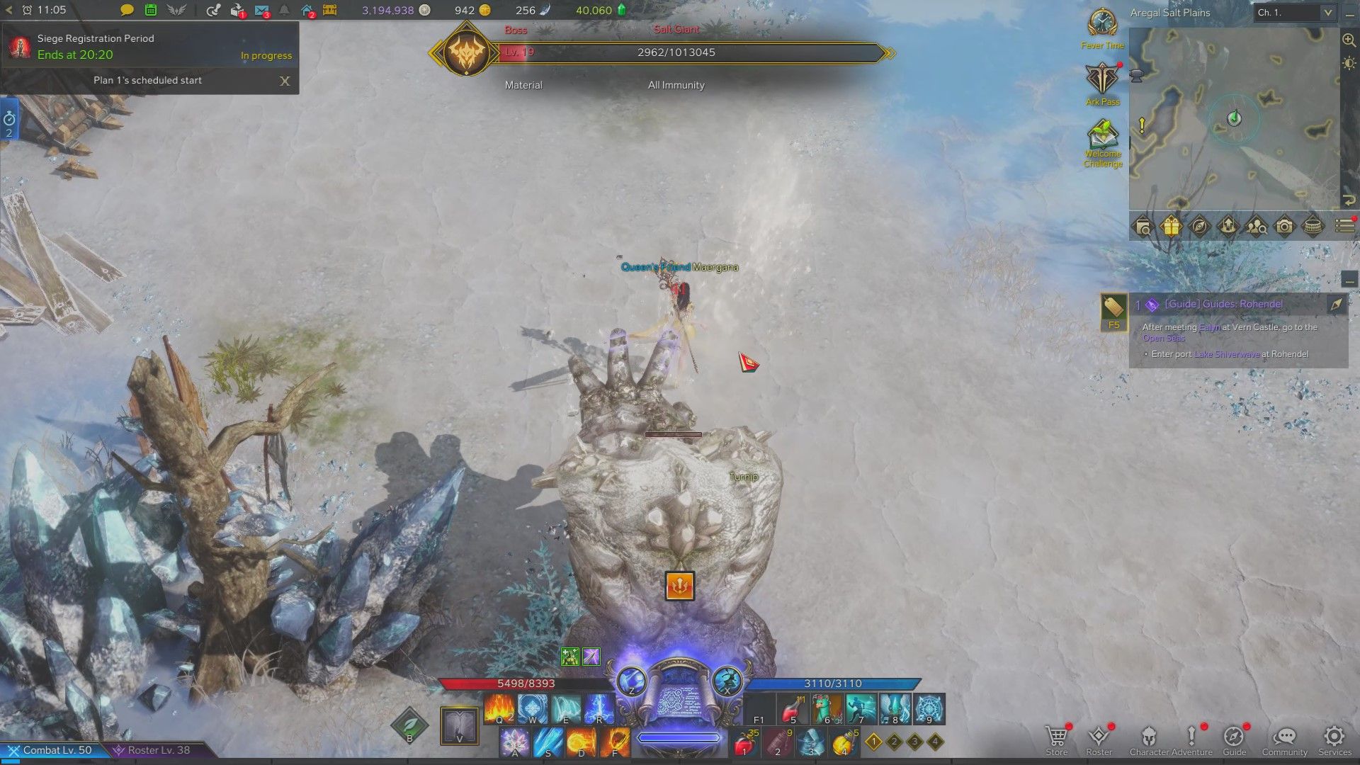 World Boss Salt Giant Walkthrough For Lost Ark