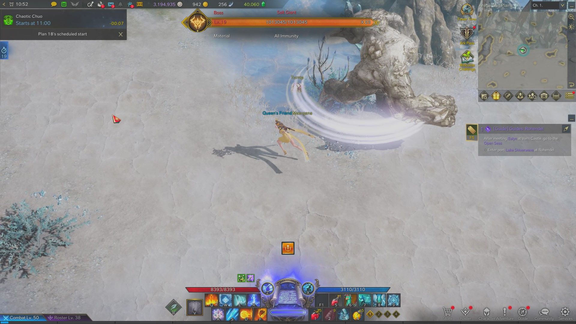 World Boss Salt Giant Walkthrough For Lost Ark