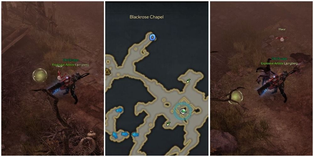Where To Find All Mokoko Seeds At Flowering Orchard In Lost Ark