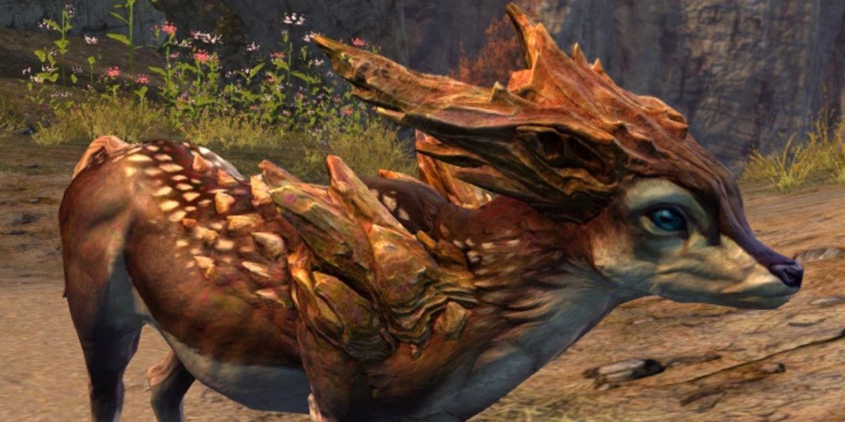 10 Best Pets In Guild Wars 2