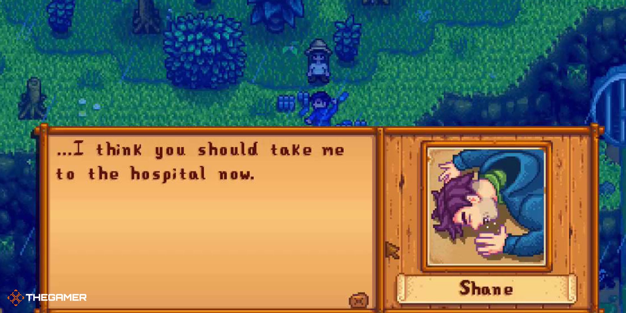 Stardew Valley: A Complete Guide To Marrying Shane