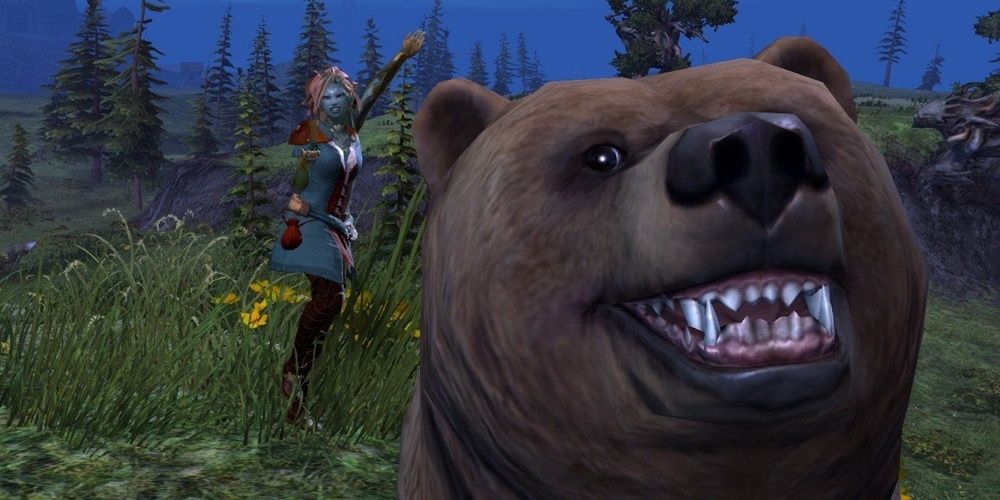 10 Best Pets In Guild Wars 2