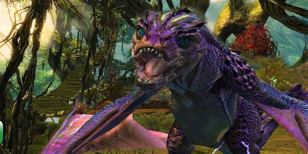 10 Best Pets In Guild Wars 2
