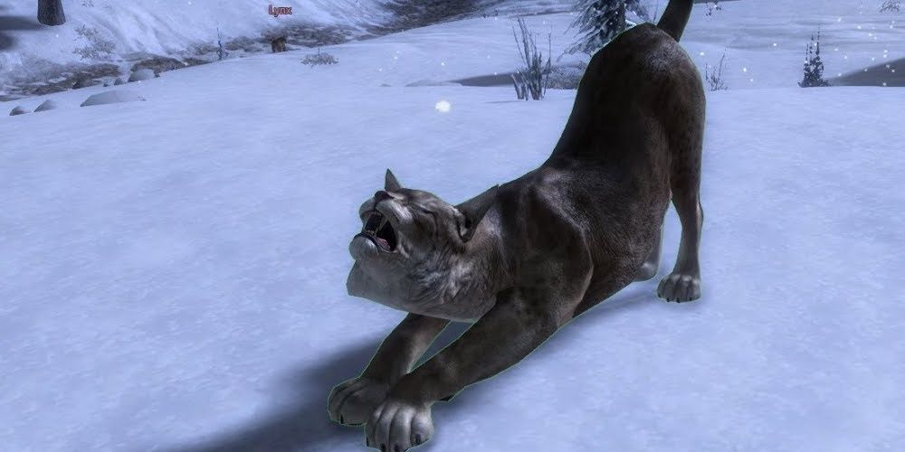 10 Best Pets In Guild Wars 2