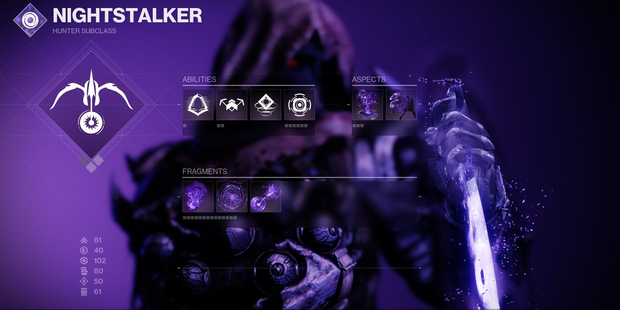 Destiny 2: The Best Hunter Builds For PvP And PvE