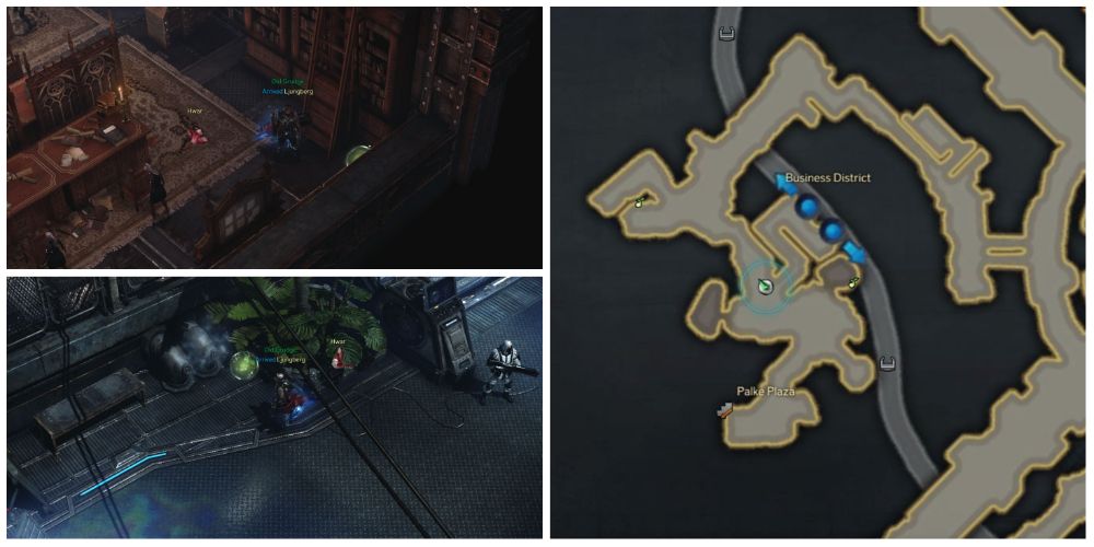 Where To Find Every Origins Of Stern Mokoko Seed In Lost Ark