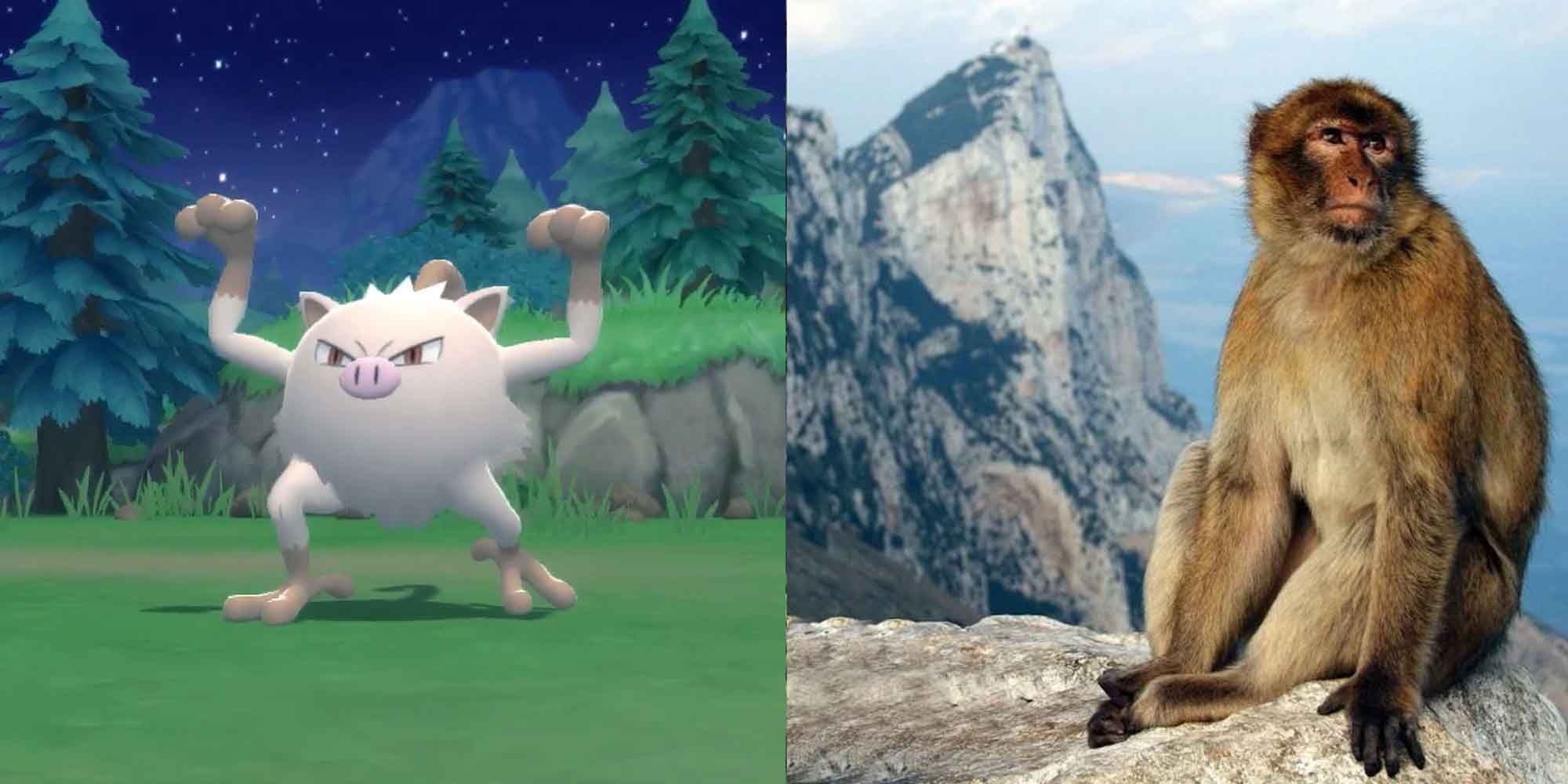 15 Pokemon That Exist In Real Life