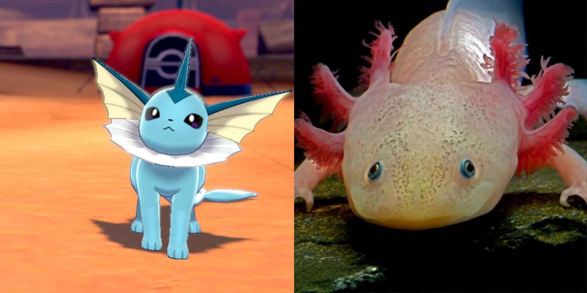 15 Pokemon That Exist In Real Life