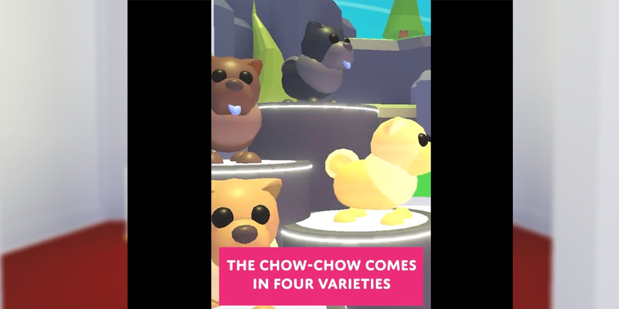 How To Get Chow Chows In Adopt Me!