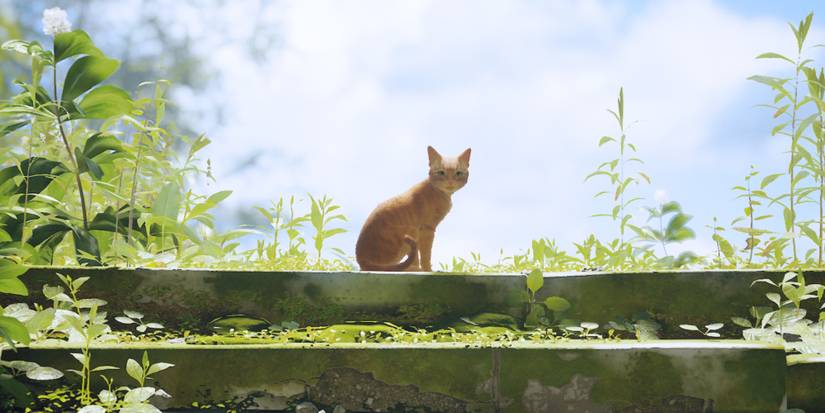 Stray: What Happened To Humanity, Explained