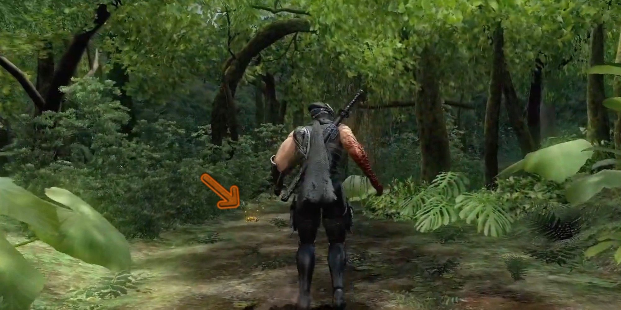 Where To Find All Scarabs In Ninja Gaiden 3