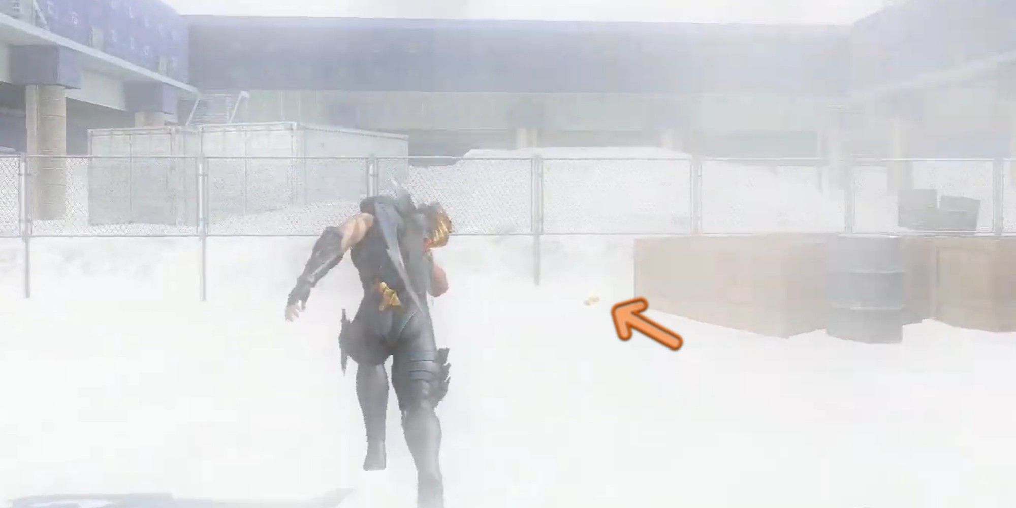 Where To Find All Scarabs In Ninja Gaiden 3