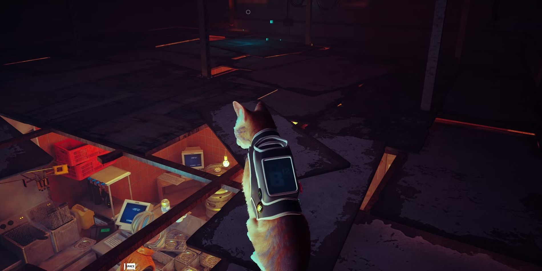 5 Ways To Improve Stray