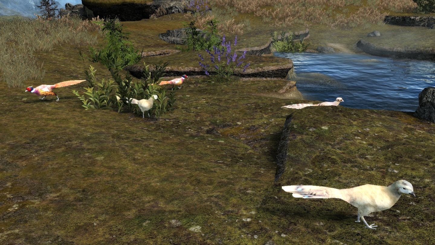 Skyrim's Most Popular Mod This Past Week Adds Pheasants To The Wild