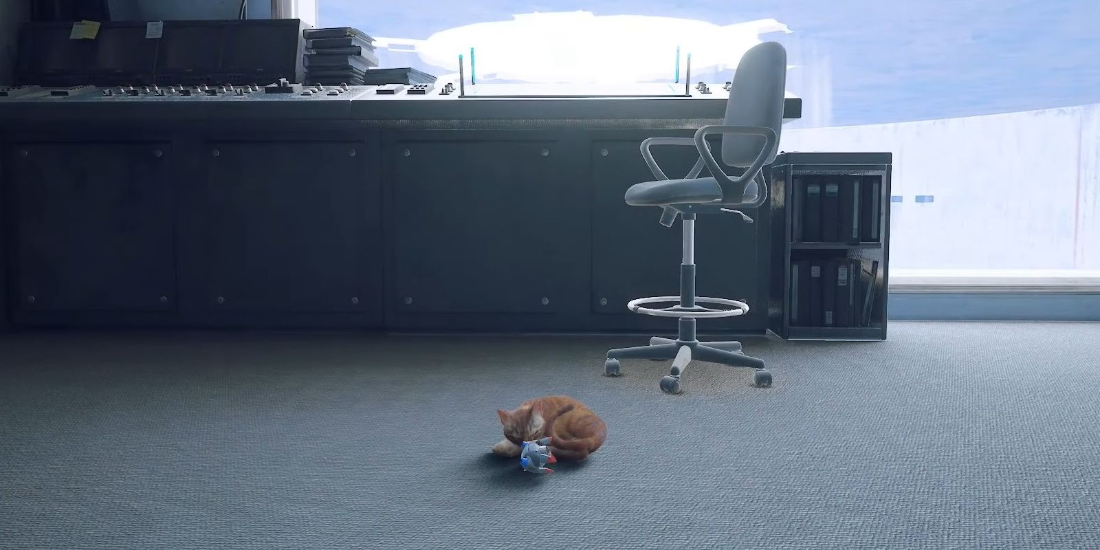 Everywhere You Can Nap In Stray