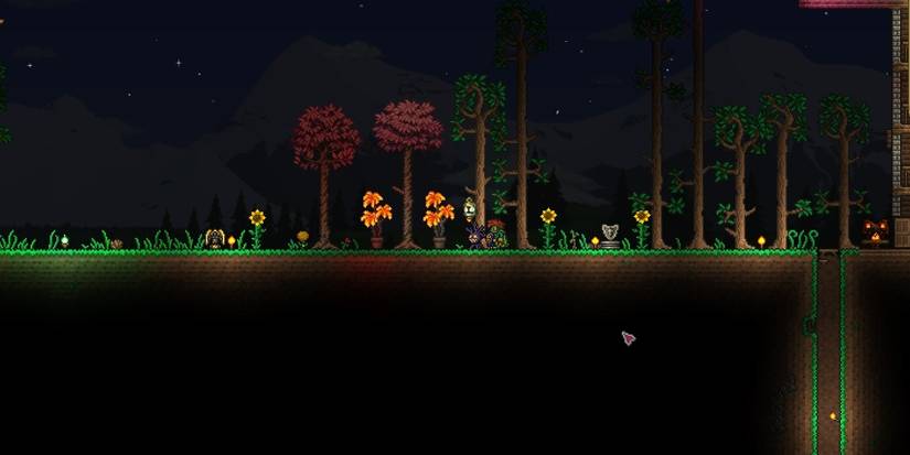 Terraria: Best Vanity Items, Ranked