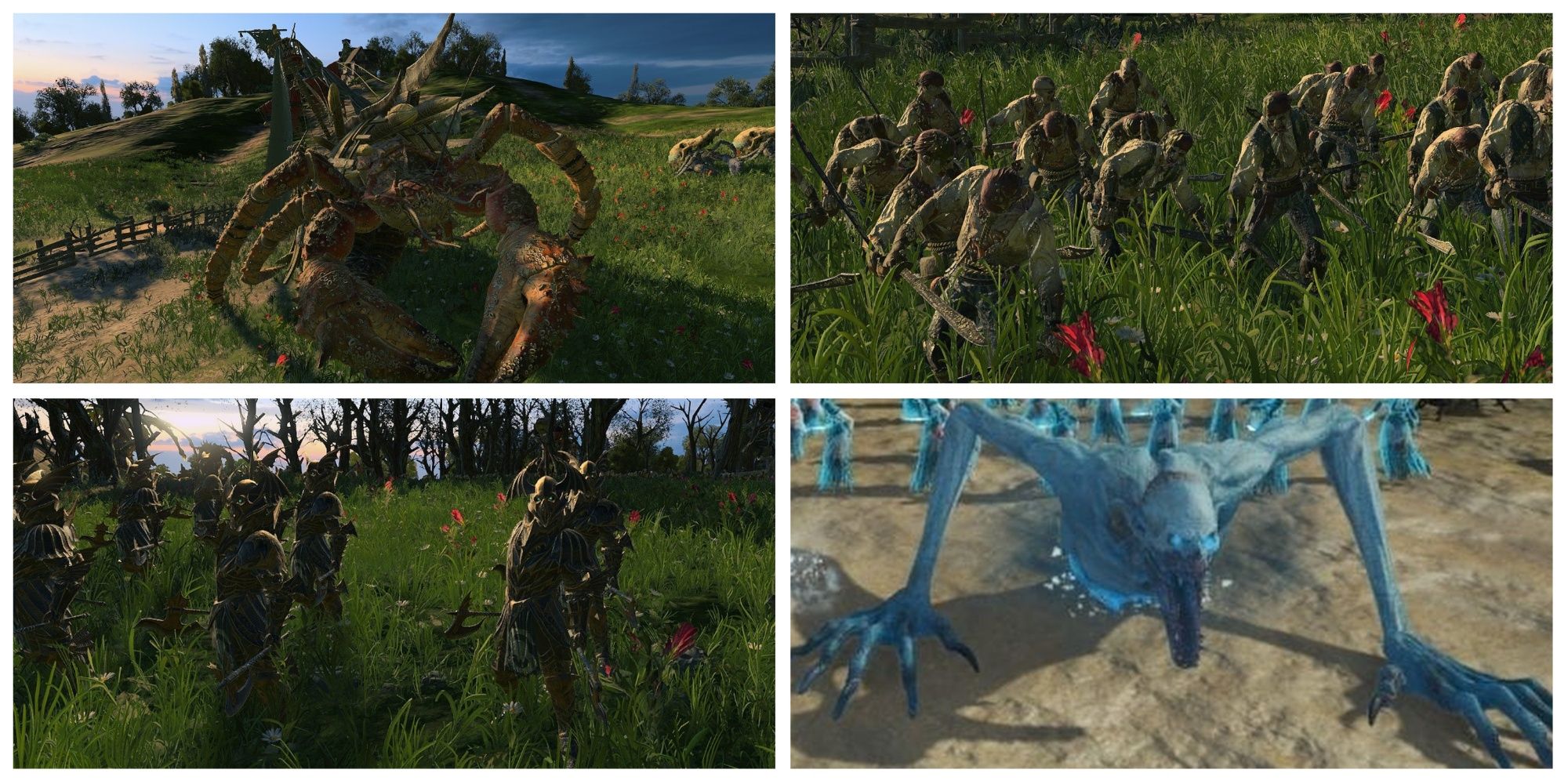 All Vampire Coast Units In Total War: Warhammer 3, Ranked.