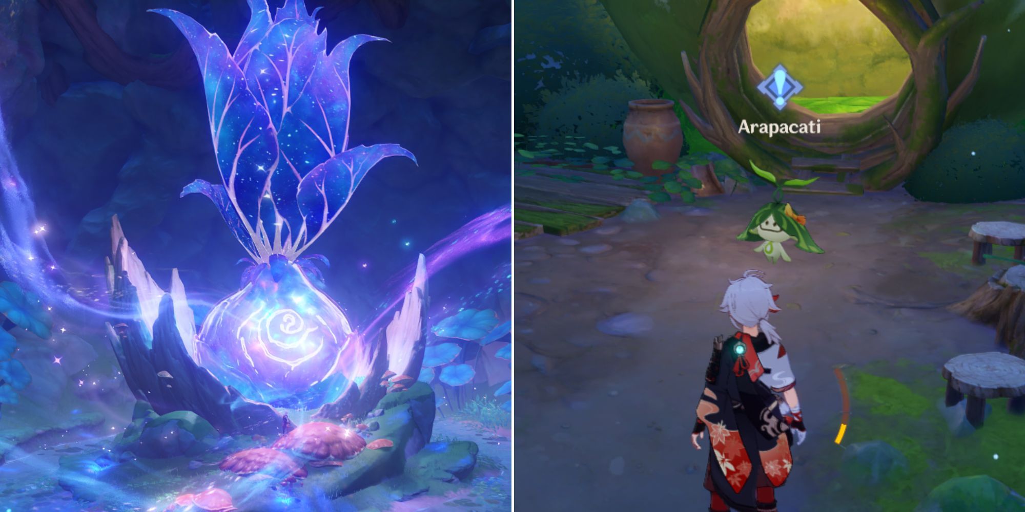 Where To Find All Arapacati's Brothers In Genshin Impact