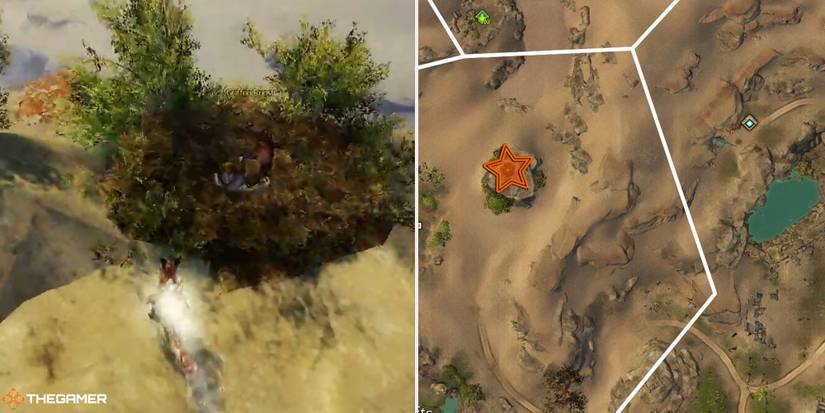 How To Complete All The Griffon Collections In Guild Wars 2