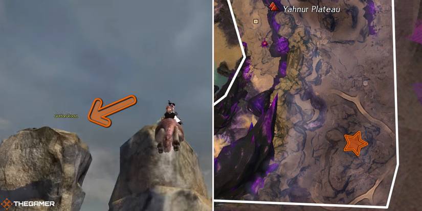 How To Complete All The Griffon Collections In Guild Wars 2