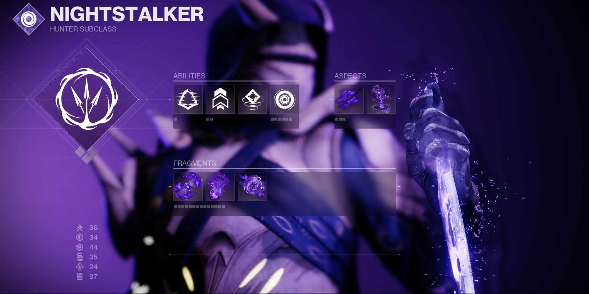 Destiny 2: The Best Hunter Builds For PvP And PvE