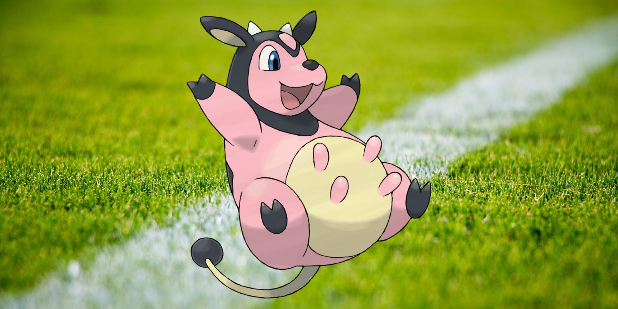 NFL Teams And Their Ideal Pokemon Mascot