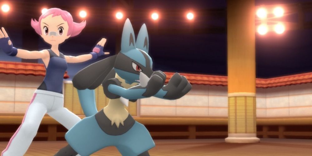 All Fighting-Type Specialist Trainers In Pokemon, Ranked