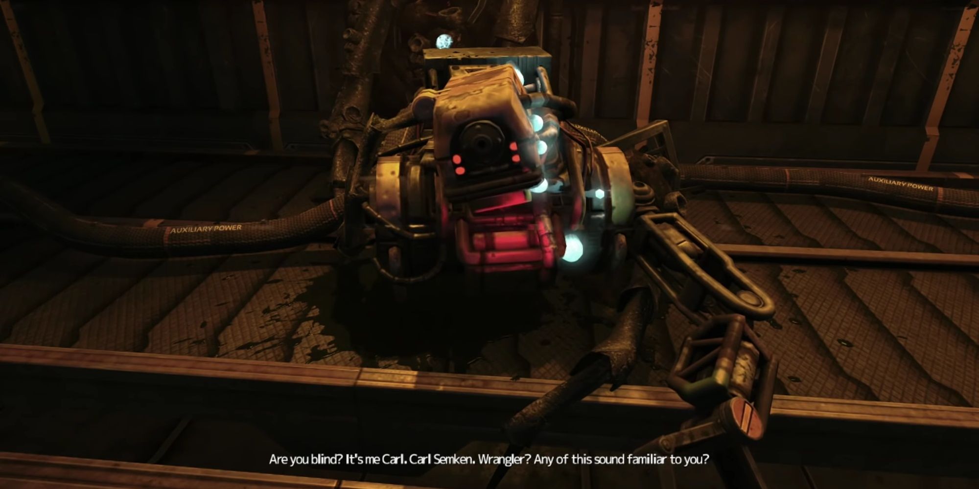 What Is A Mockingbird In Soma?