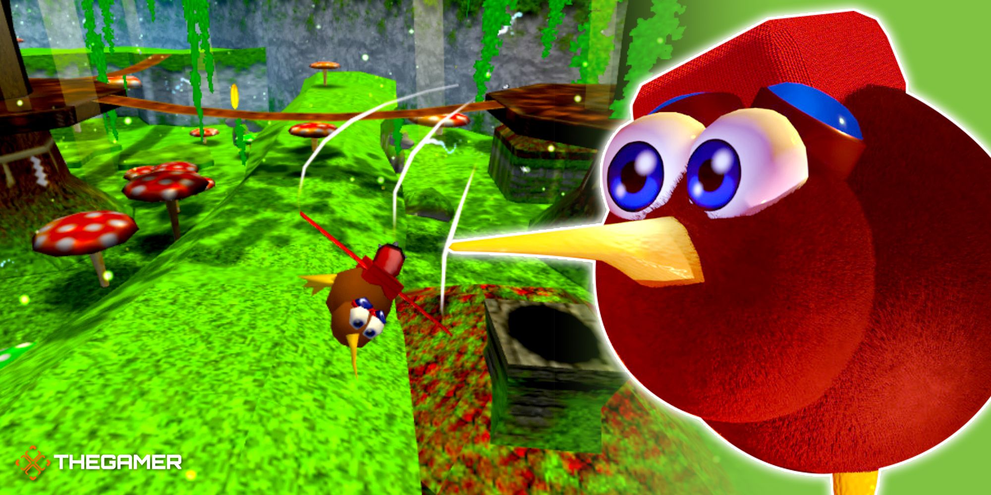 Beginner Tips For Super Kiwi 64