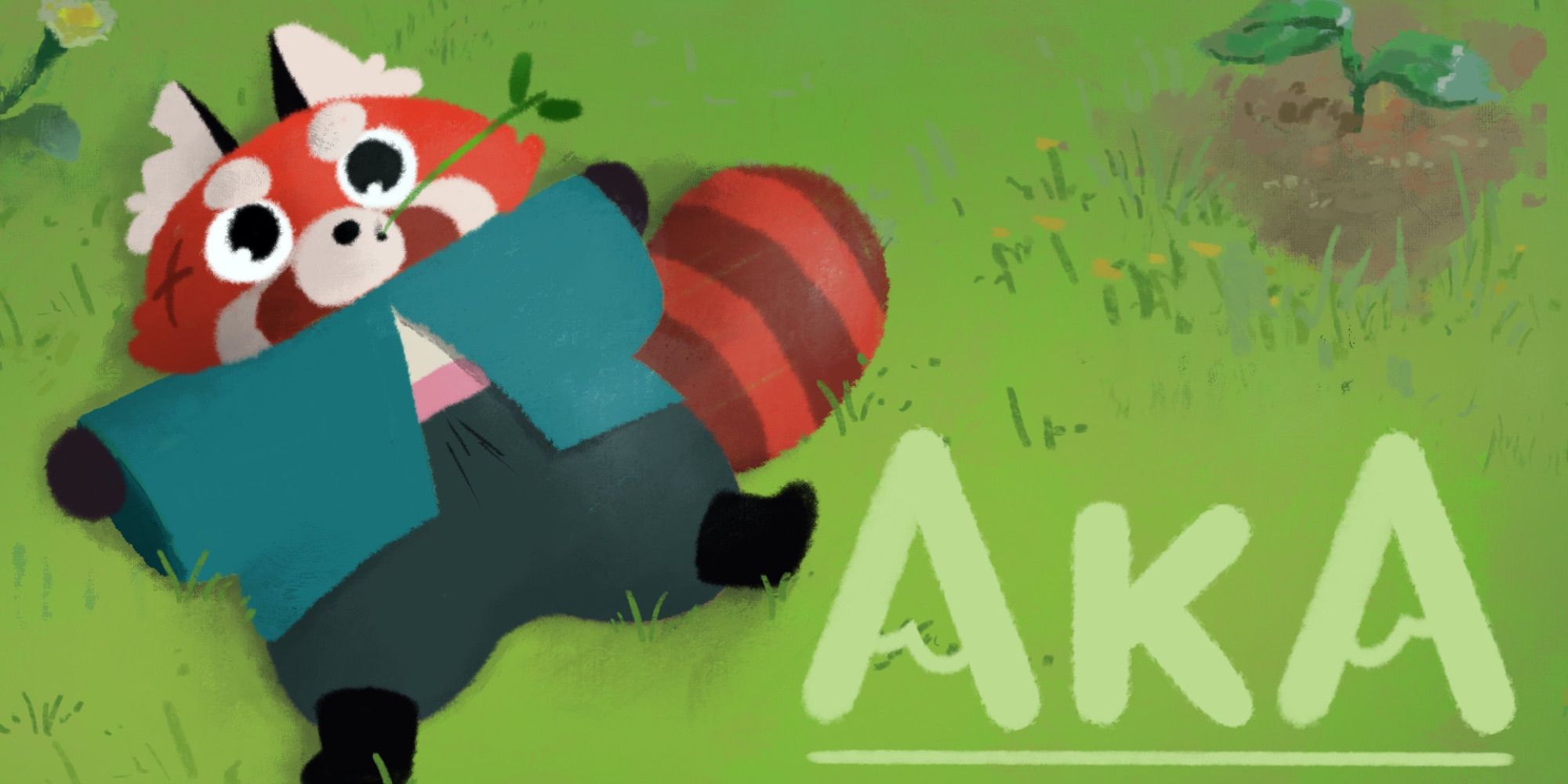 Beginner Tips And Tricks For Aka