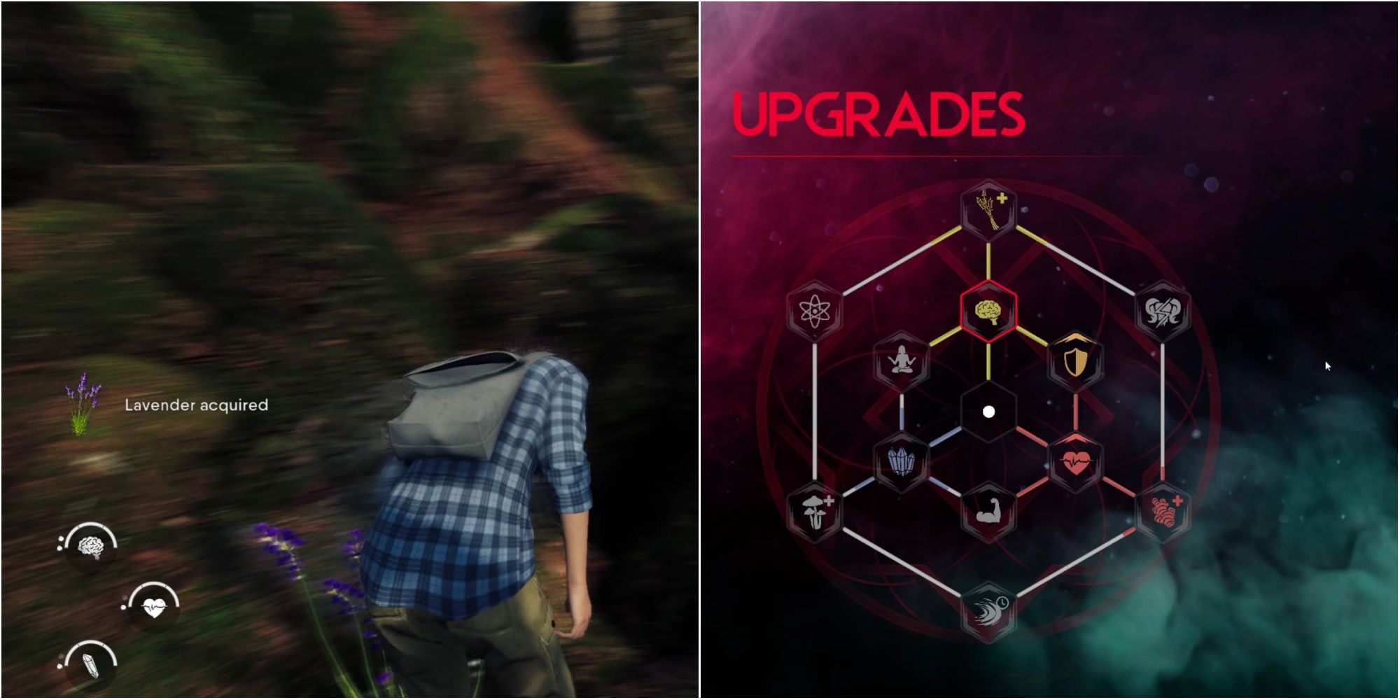 The Chant: Beginner Tips And Tricks