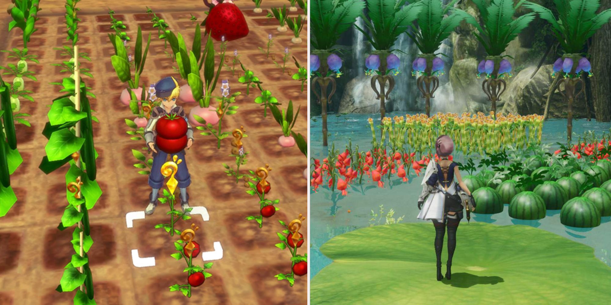 Which Is Better? Harvestella Or Rune Factory 5?