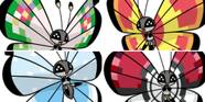 Pokemon 10 Best Vivillon Patterns Pokemon 10 Best Vivillon Patterns