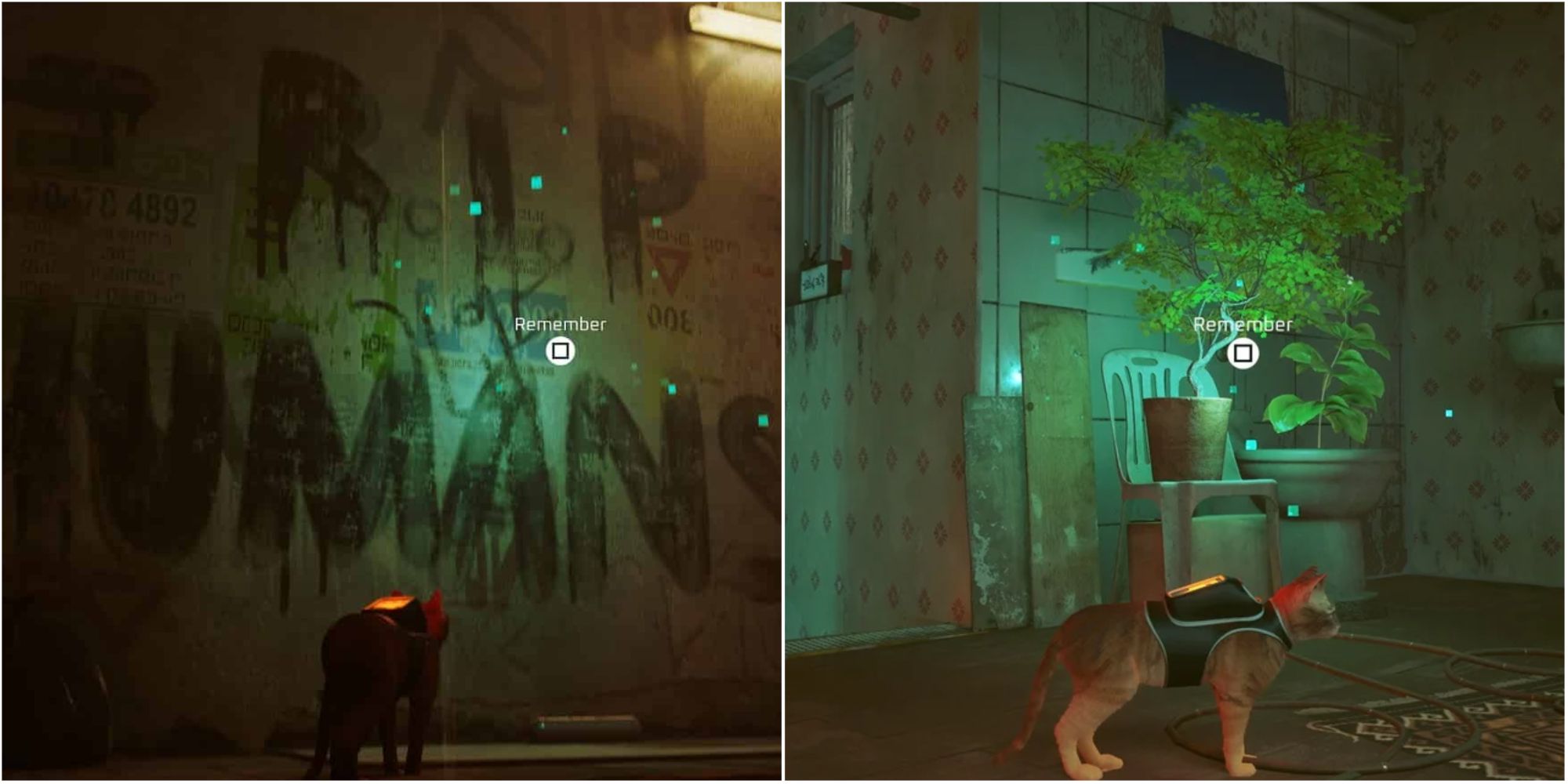 Details We Loved In Stray