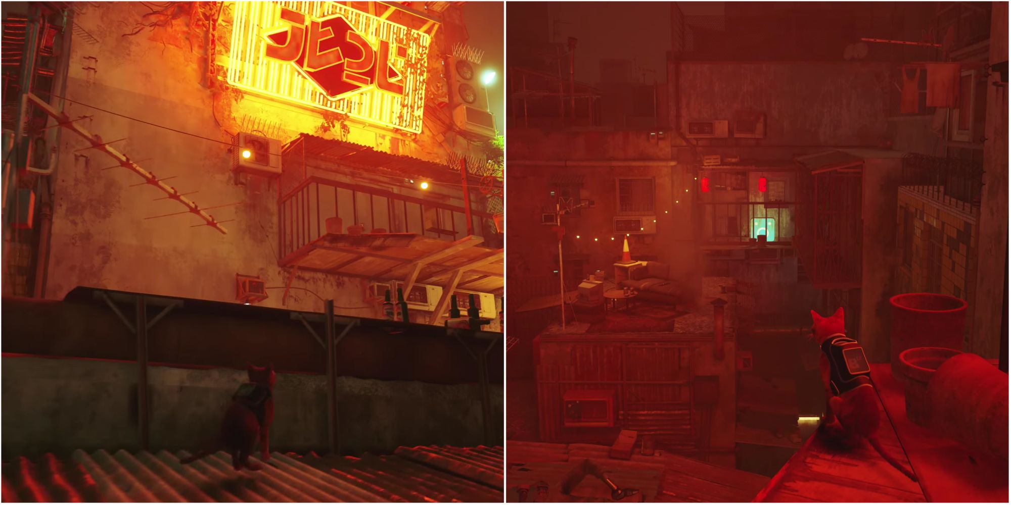 Details We Loved In Stray