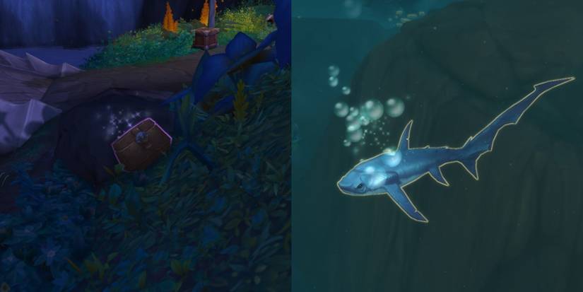 How To Get Coins Of The Isles In WoW: Dragonflight