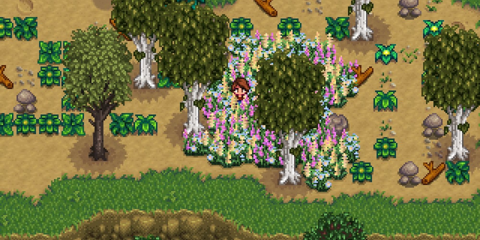 The Best Graphics Mods For Stardew Valley