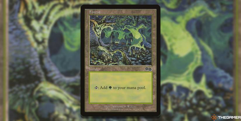The Best Forest Cards In MTG Ranked By Artwork