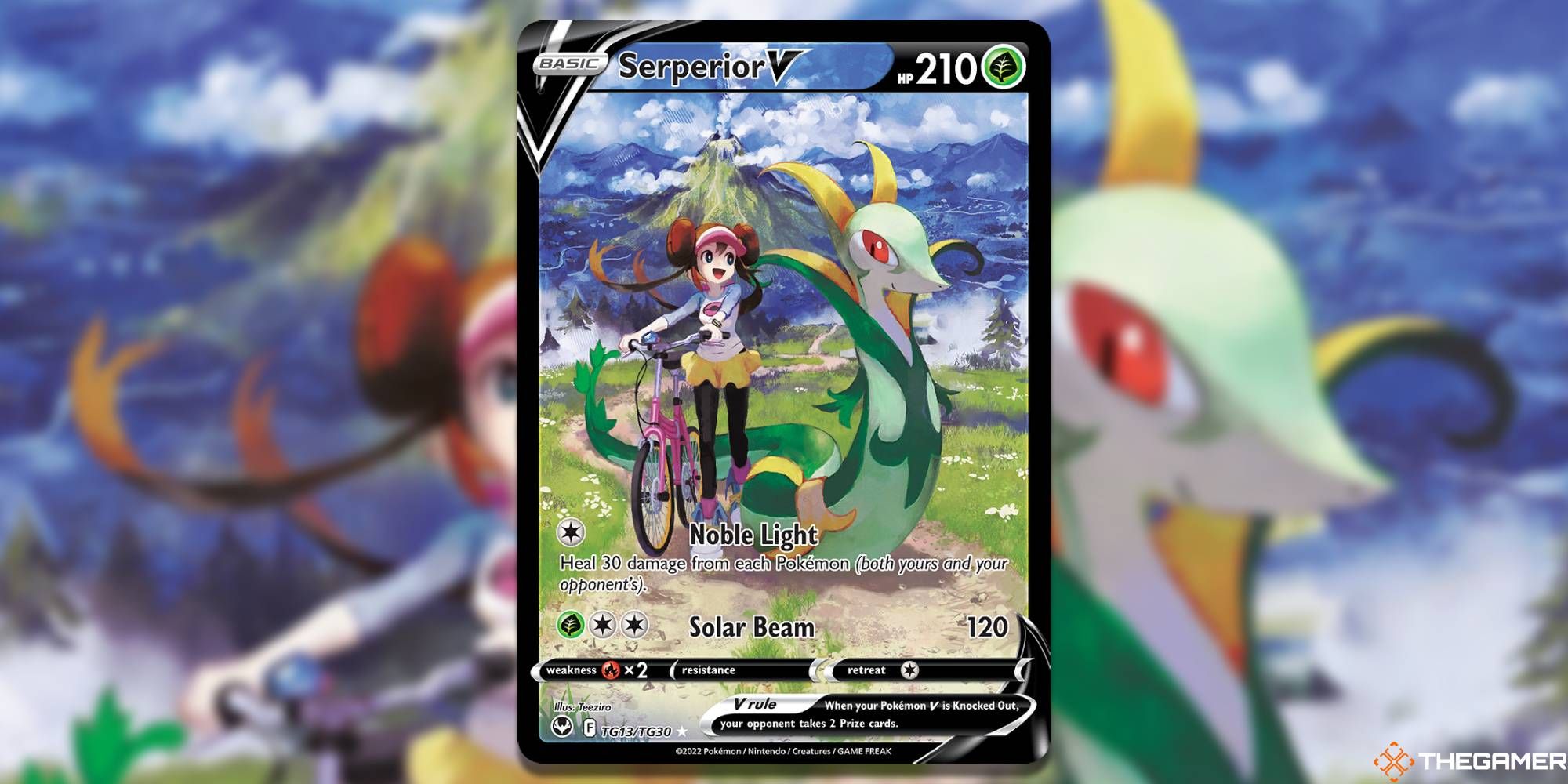 Pokemon TCG: The 9 Best Trainer Gallery Art In Sword & Shield: Silver ...