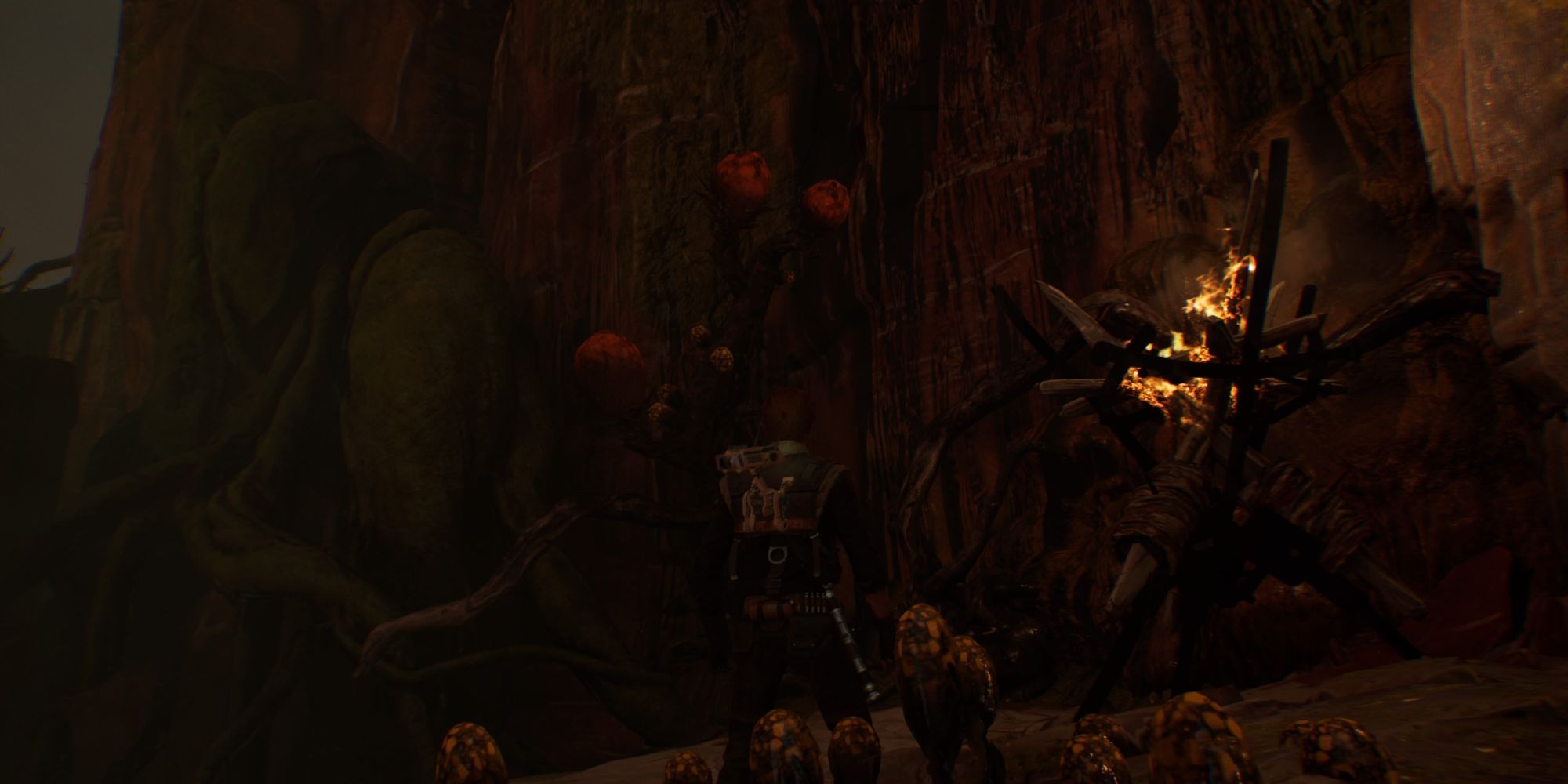 Where To Find All Dathomir Collectibles In Star Wars Jedi: Fallen Order