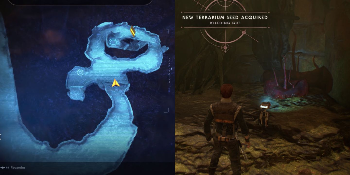 Where To Find All Terrarium Seeds In Star Wars Jedi: Fallen Order
