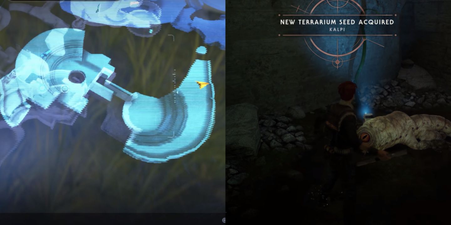 Where To Find All Terrarium Seeds In Star Wars Jedi: Fallen Order