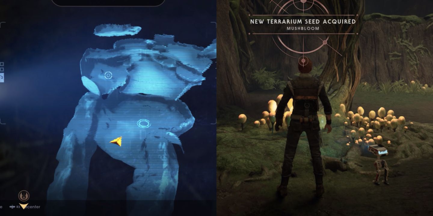 Star Wars Jedi Fallen Order Terrarium Seeds Locations at Callum Ardill blog