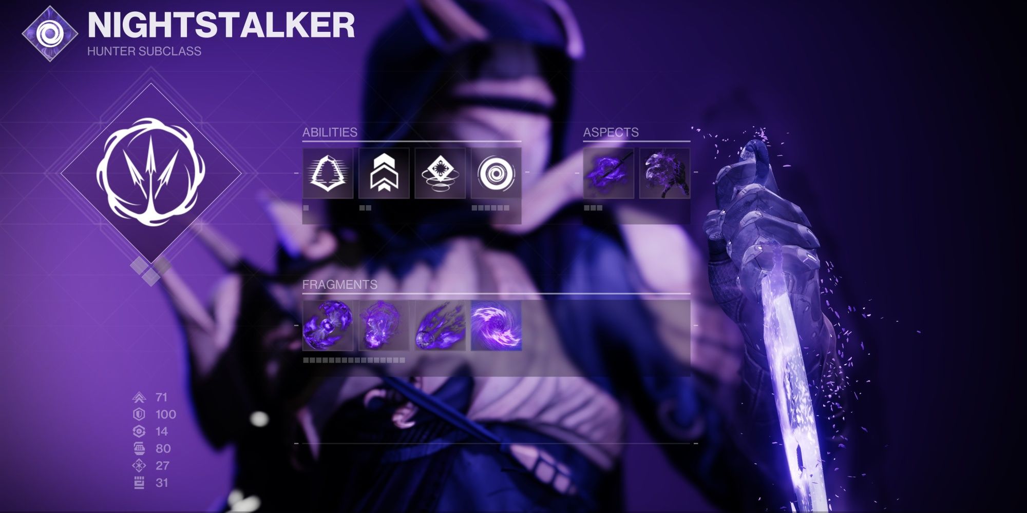 Destiny 2: The Best Hunter Builds For PvP And PvE