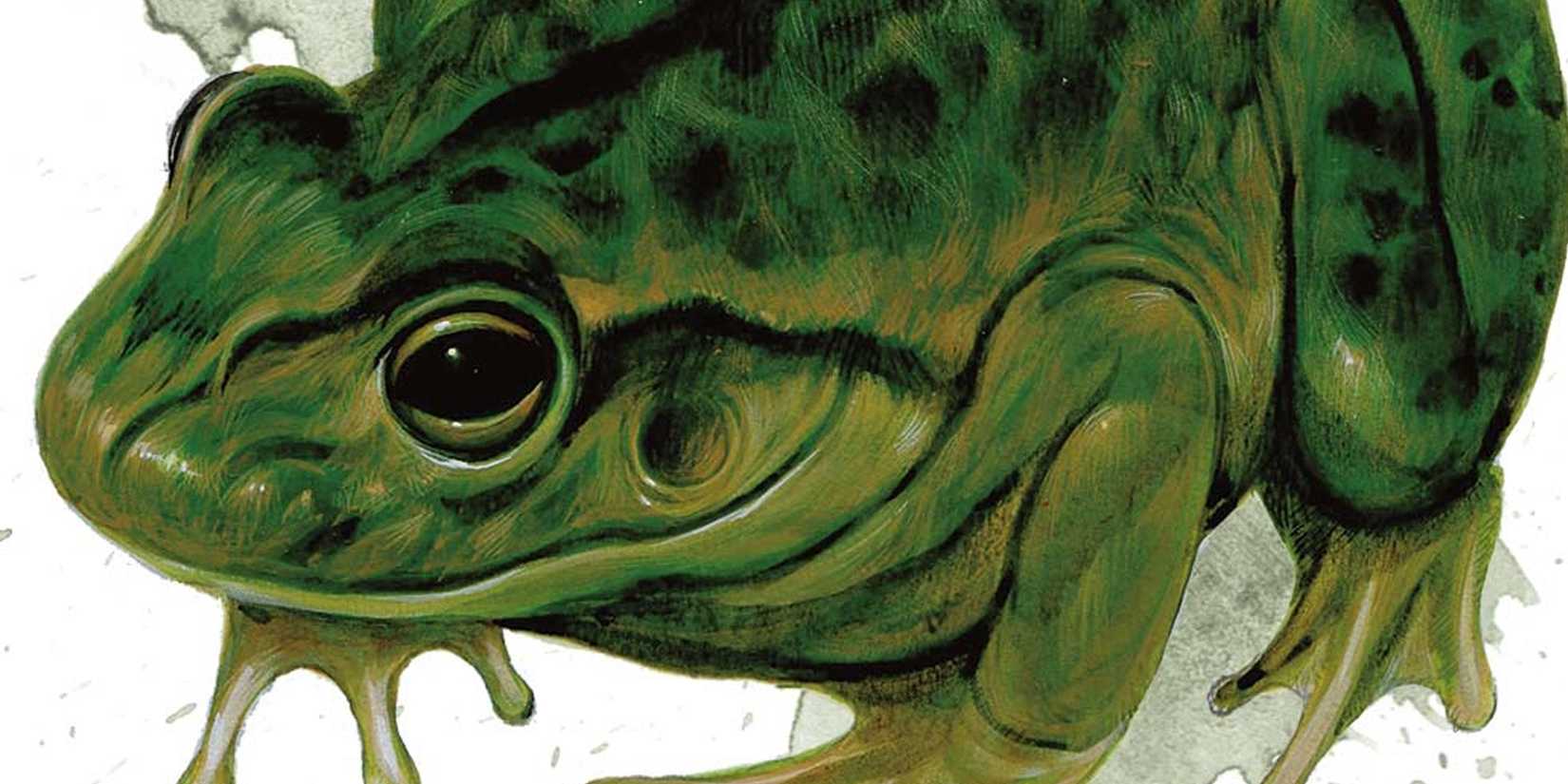 Best Familiars In Dungeons & Dragons
