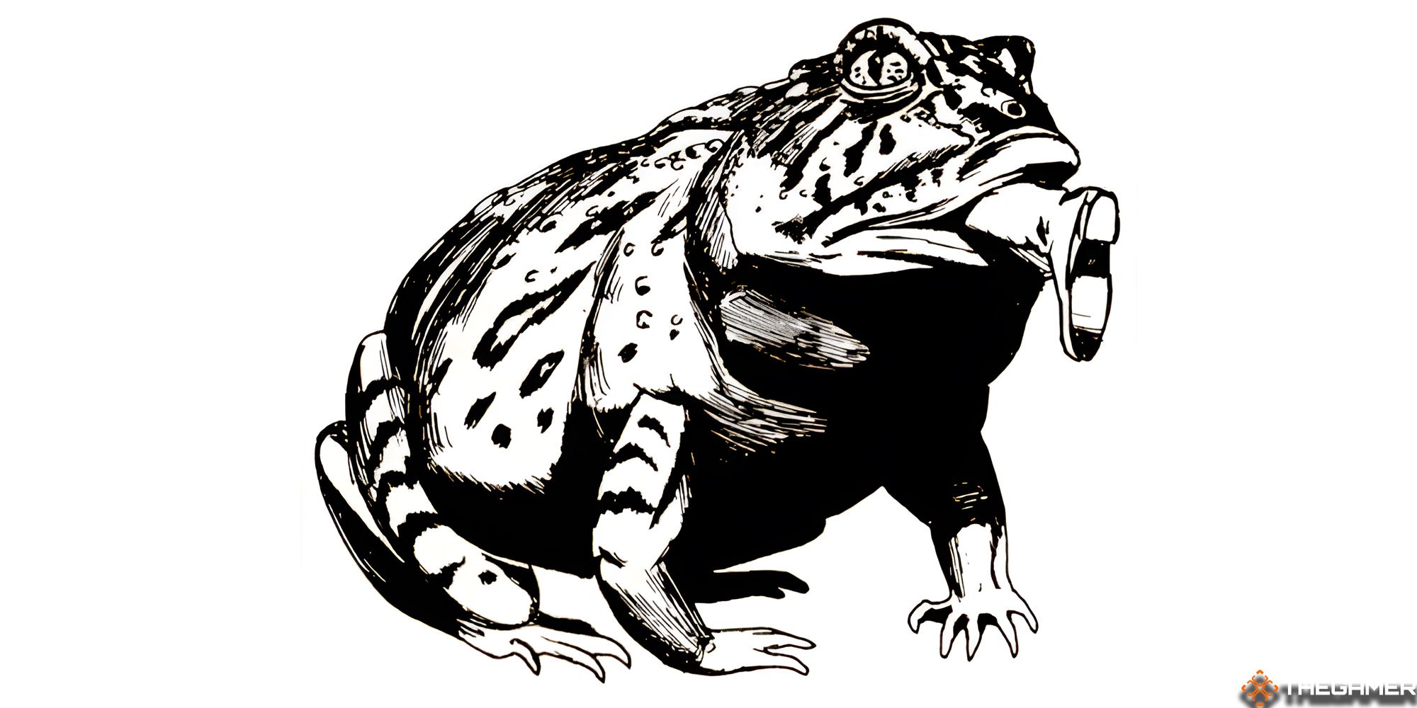 The Best Druid Wild Shapes In DND